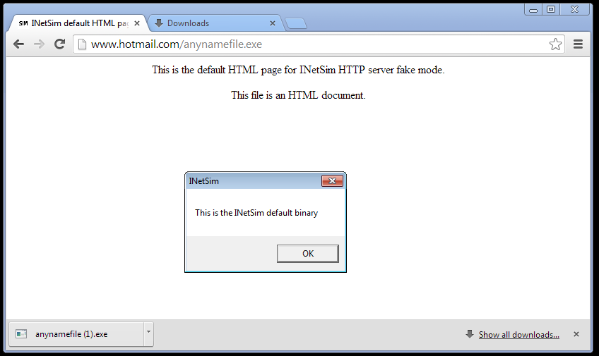 Installing and Configuring InetSim